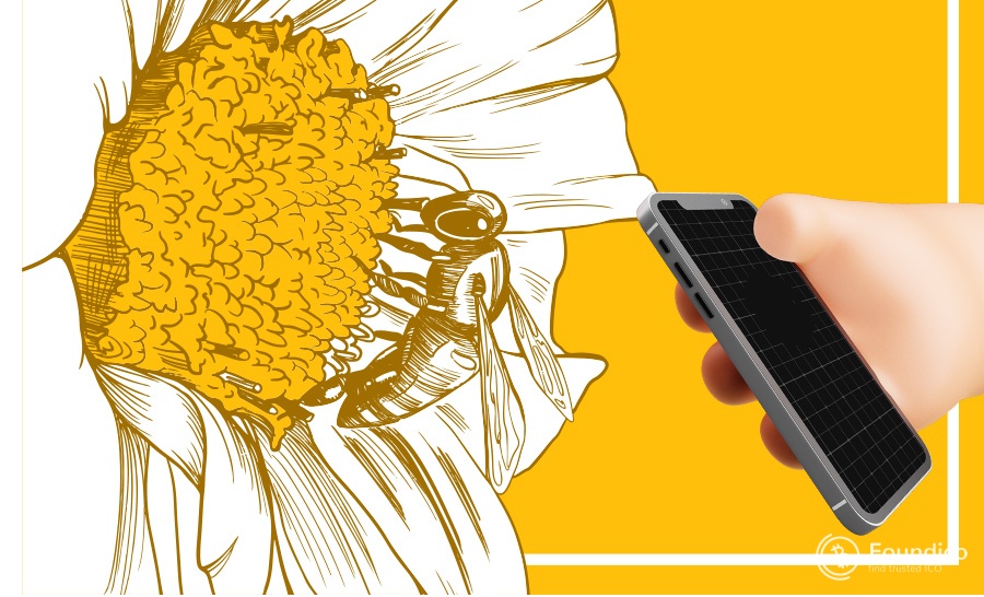 How Do Bees Moves Around and Talk to One Another? - Foundico.com