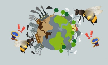The Natural Life and Ecosystems Depend Upon Bees - Foundico.com